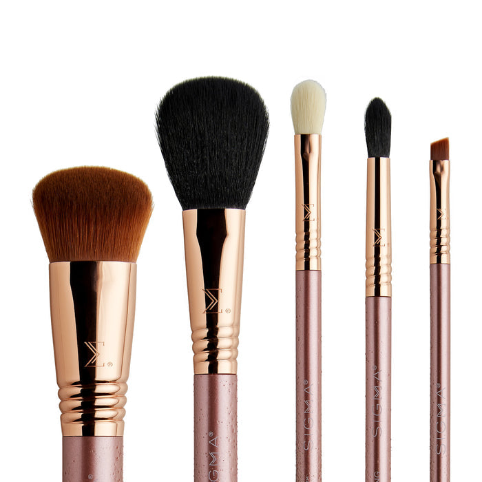 Sigma Beauty Modern Glam Brush Set | Face the Future